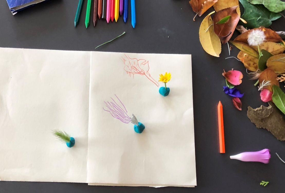 OFICINA “ENTRE SOL E SOMBRA #3 | Super eventos | Dá a Mão à Floresta